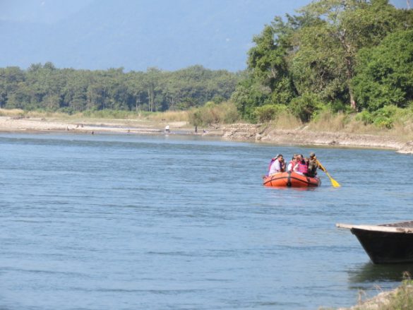 Manas National Park, Assam: A guide to Safari, Timings & Wildlife