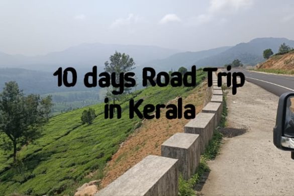 Trekking in Munnar (Yellapatty Trail) - Explore with Ecokats