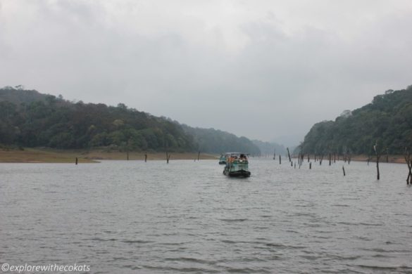 Trekking in Munnar (Yellapatty Trail) - Explore with Ecokats
