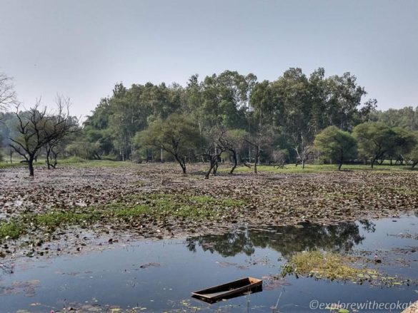 11 Amazing Tourist Places to visit in Indore in one day - Explore with ...
