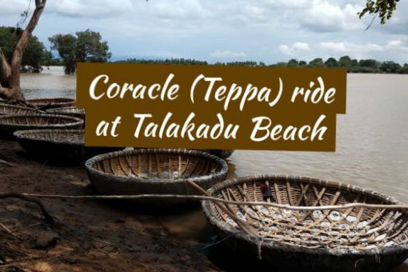 Trekking in Munnar (Yellapatty Trail) - Explore with Ecokats