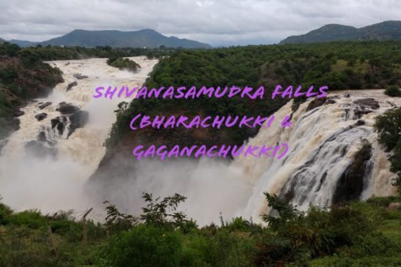 Gucchu Pani (Robber’s cave): Offbeat place in Dehradun - Explore with ...