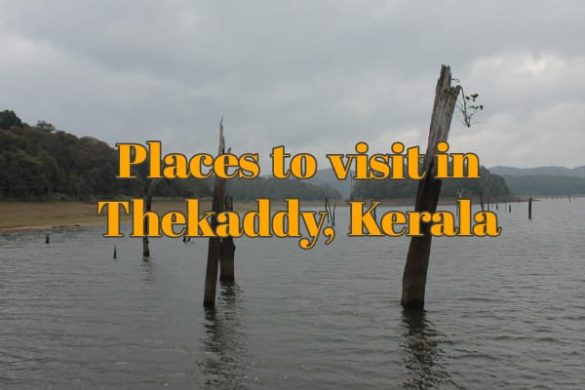 Chendamangalam Handloom, Kerala - Explore with Ecokats