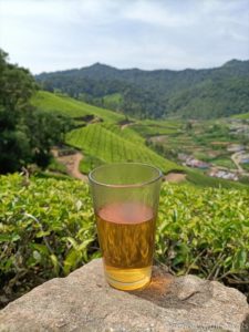 Trekking in Munnar (Yellapatty Trail) - Explore with Ecokats