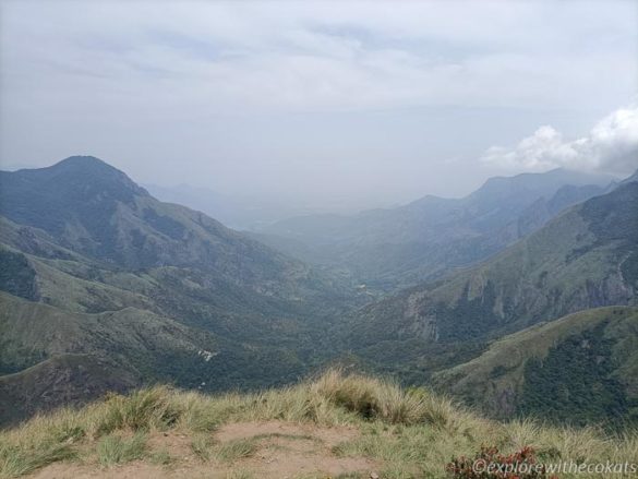 Trekking in Munnar (Yellapatty Trail) - Explore with Ecokats
