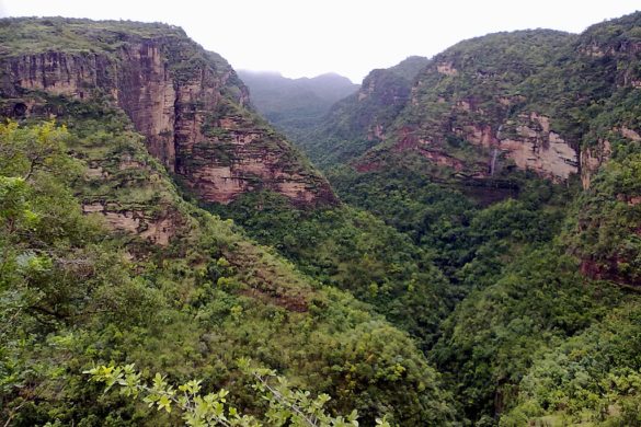 Polo Forest Gujarat | Perfect day trip from Ahmedabad - Explore with ...