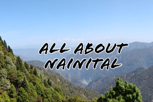 Trekking in Munnar (Yellapatty Trail) - Explore with Ecokats