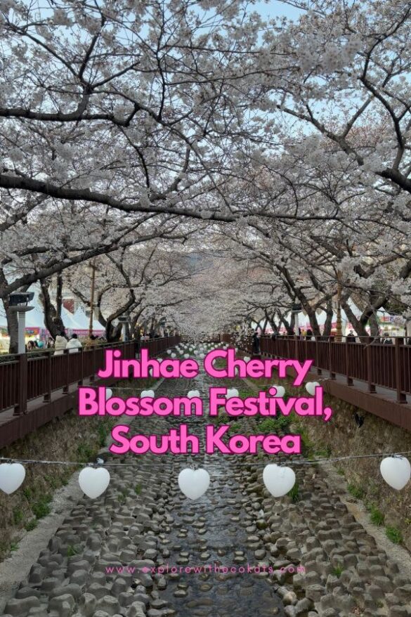 Jinhae Cherry Blossom Festival: Is it worth checking out the Jinhae ...