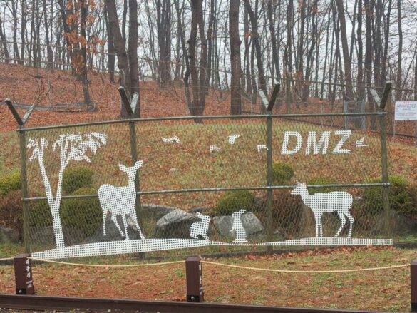 DMZ Tour from Seoul: All you need to know! - Explore with Ecokats